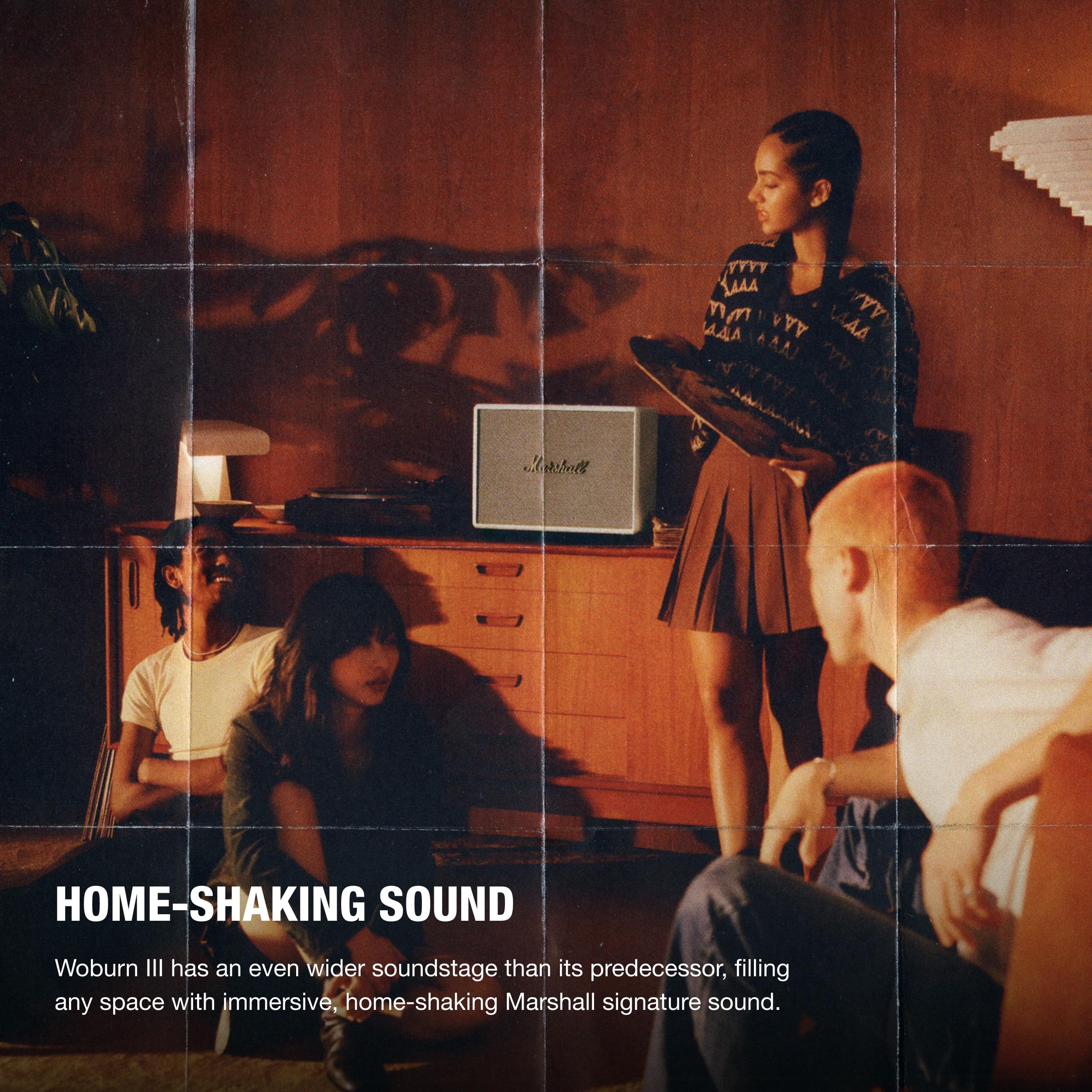 Marshall Woburn III Bluetooth Speaker vs JBL Authentics 500 Smart Home Speaker Comparison ...