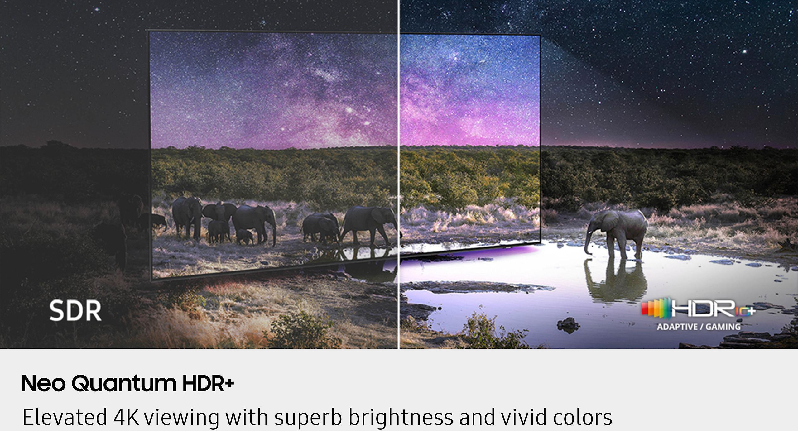 Samsung 65" QN90F Neo QLED 4K Vision AI Smart TV 2025 vs Sony BRAVIA 8 65" 4K OLED TV Comparison ...