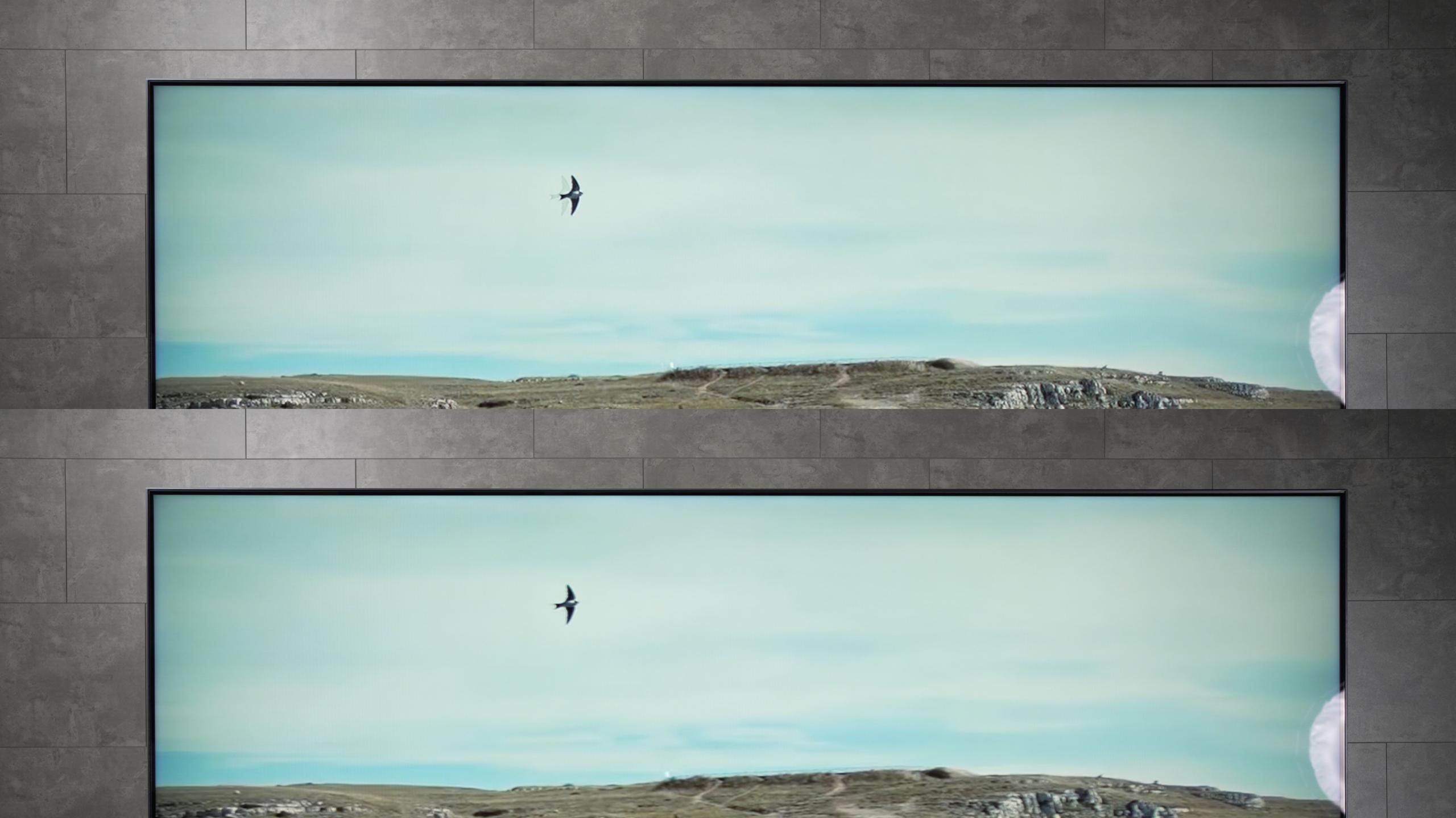 The One To Beat - 2025 Hisense U8QG Mini-LED Review - HomeTheaterReview